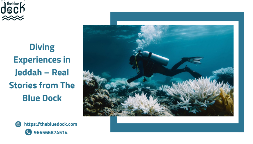 Unforgettable Diving Experiences in Jeddah | Red Sea Wonders