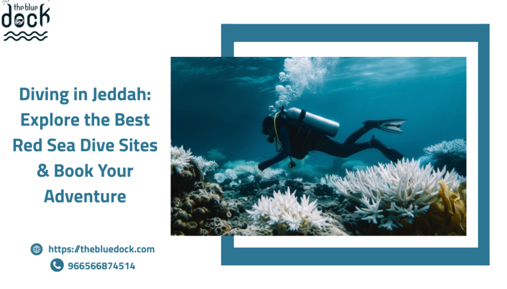 Discover Diving in Jeddah – Red Sea Adventures Await